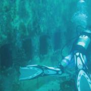 Turtle Hurdles! - SeaTrek BVI